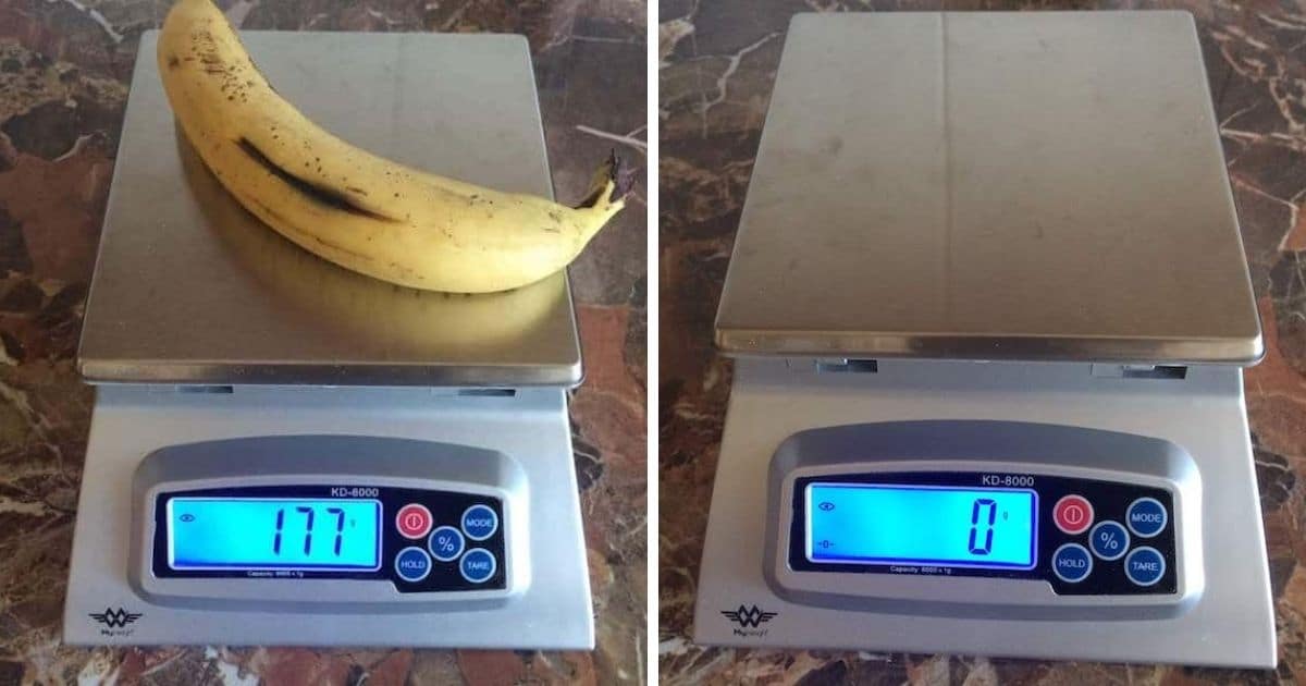 🥖 Professional Bakers Scale: Best Kitchen/Bread Baking Scale