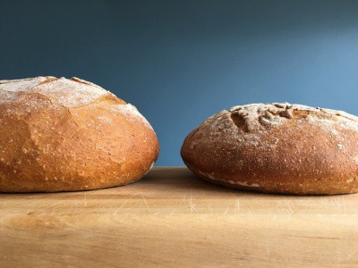 🥖 Why Does Bread Fall When Baking • Breadopedia.com